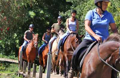 Equitrailing at Boschrivier Farm & Stables - Horse Outrides & Pony Rides