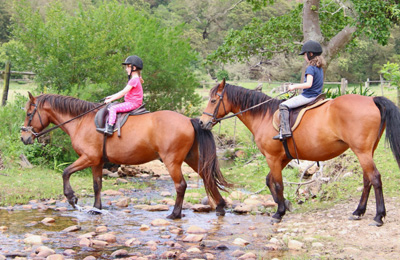 Equitrailing at Boschrivier Farm & Stables - Horse Outrides & Pony Rides